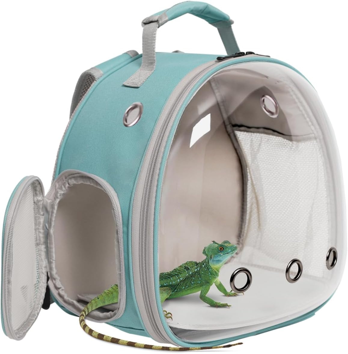 Reptile Travel Carrier for Bearded Dragon,Guinea Pig Carrier,Guinea Pig ...