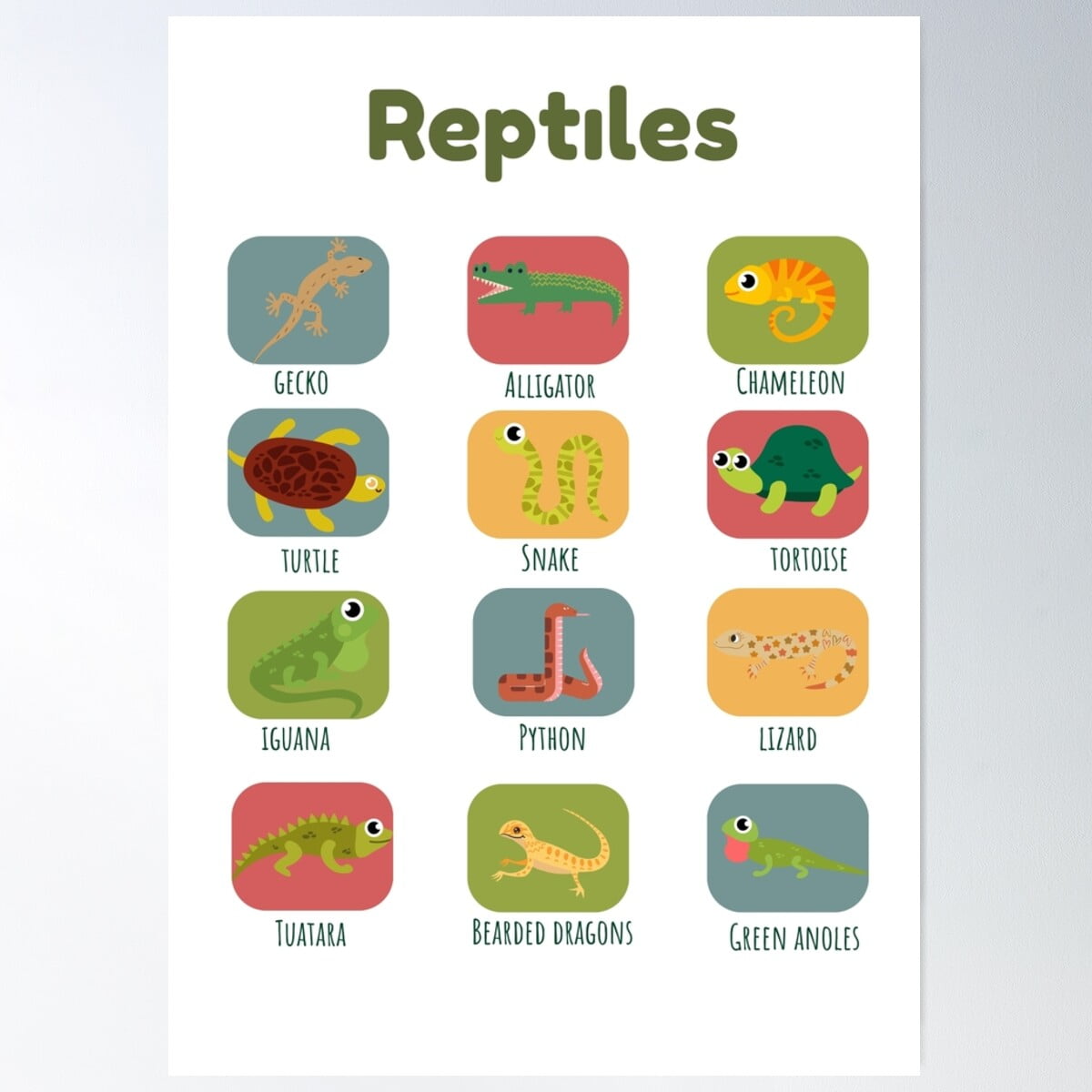 Reptile Wonders | Educational Kids' Poster – Fun Learning About ...