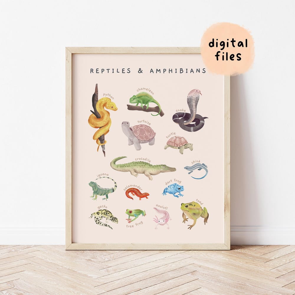 Reptiles Amphibians Montessori Educational Poster, Watercolor ...