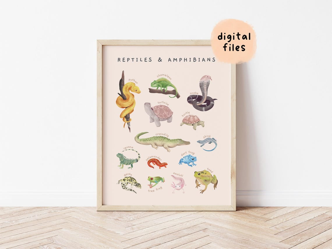 Reptiles Amphibians Montessori Educational Poster, Watercolor ...