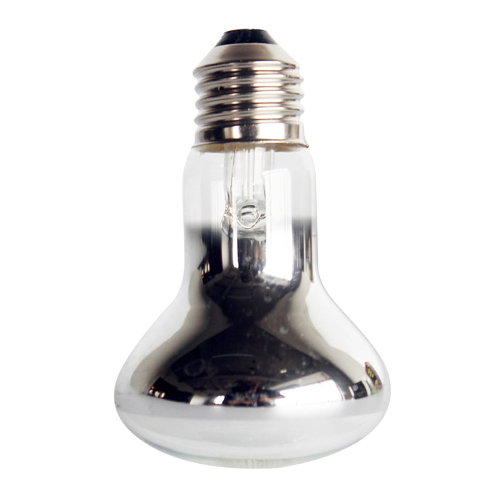 Reptiles Basking Spots Bulb 40W/60W for Lizards and Turtles Beared ...