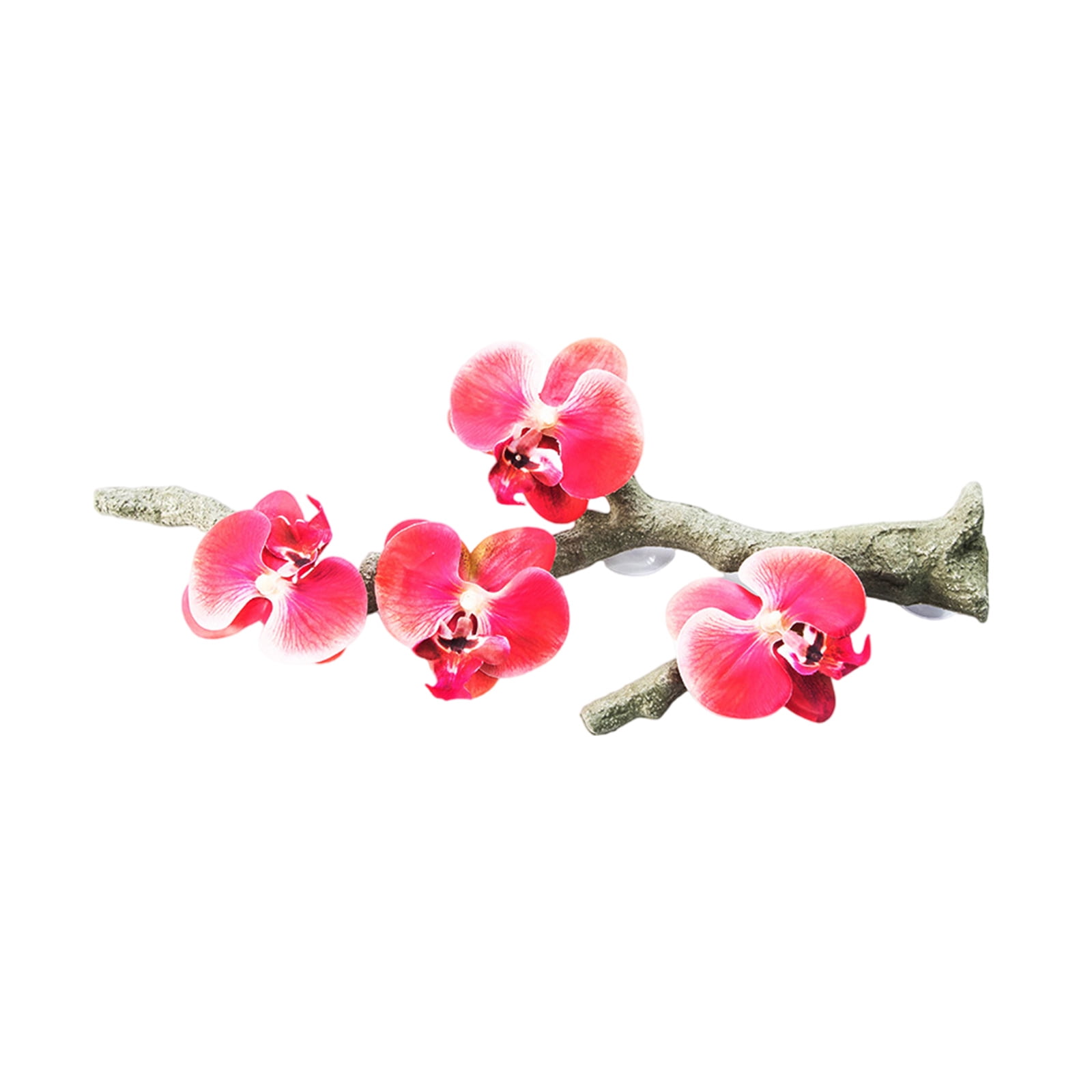 Reptiles Corner Branch Vine for Lizards Terrariums Plant Decoration ...