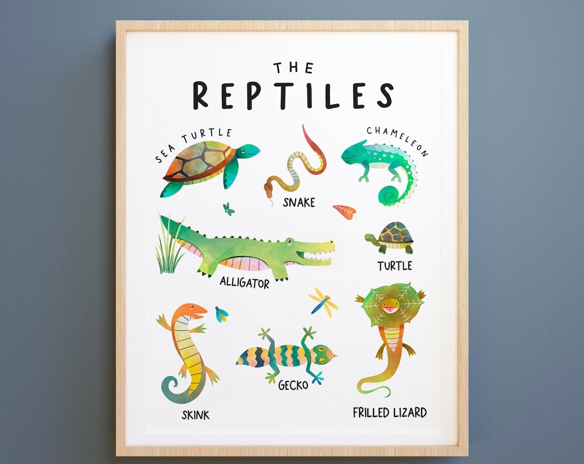 Reptiles Education, Homeschool Learning Montessori Materials,Alligator ...