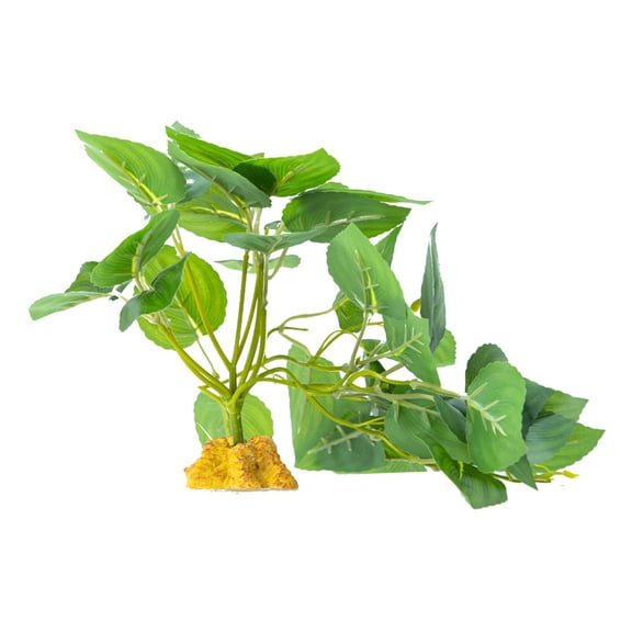 Exo Terra Boston Fern Terrarium Plant, Small - Walmart.com