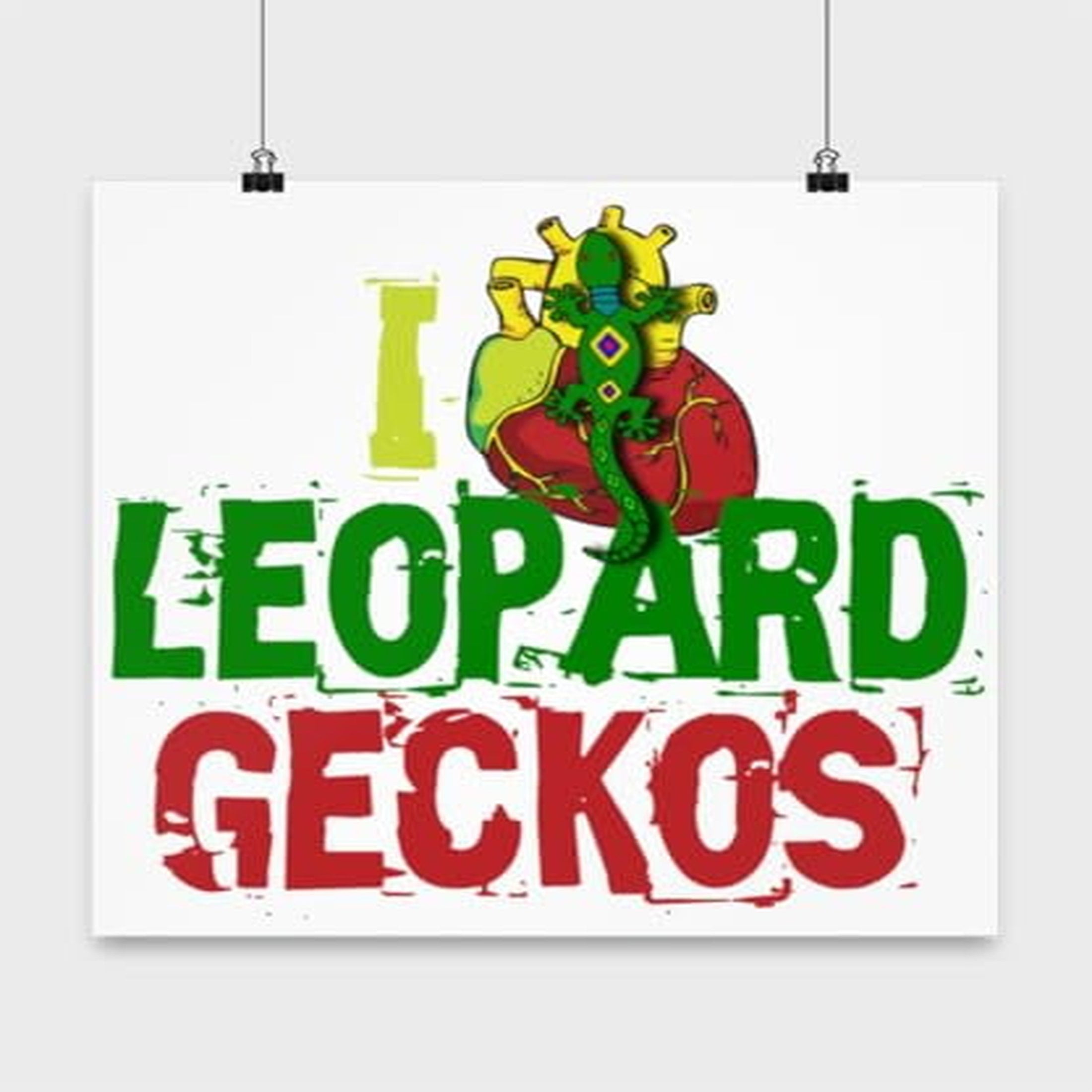 I Love Leopard Geckos Poster - 13x13in Lizards Wall Art for Reptile ...