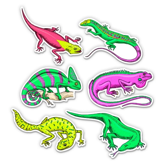 Reptiles Set of 6 Lizards Chameleon Gecko - 2" Each Vinyl Stickers ...