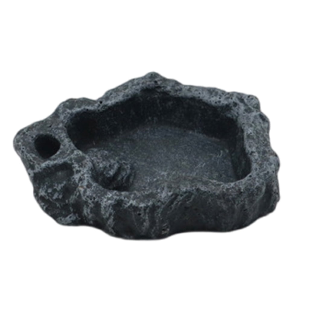 Reptiles Water Bowls Terrariums Plate Reptiles Feeders Reptiles Water ...