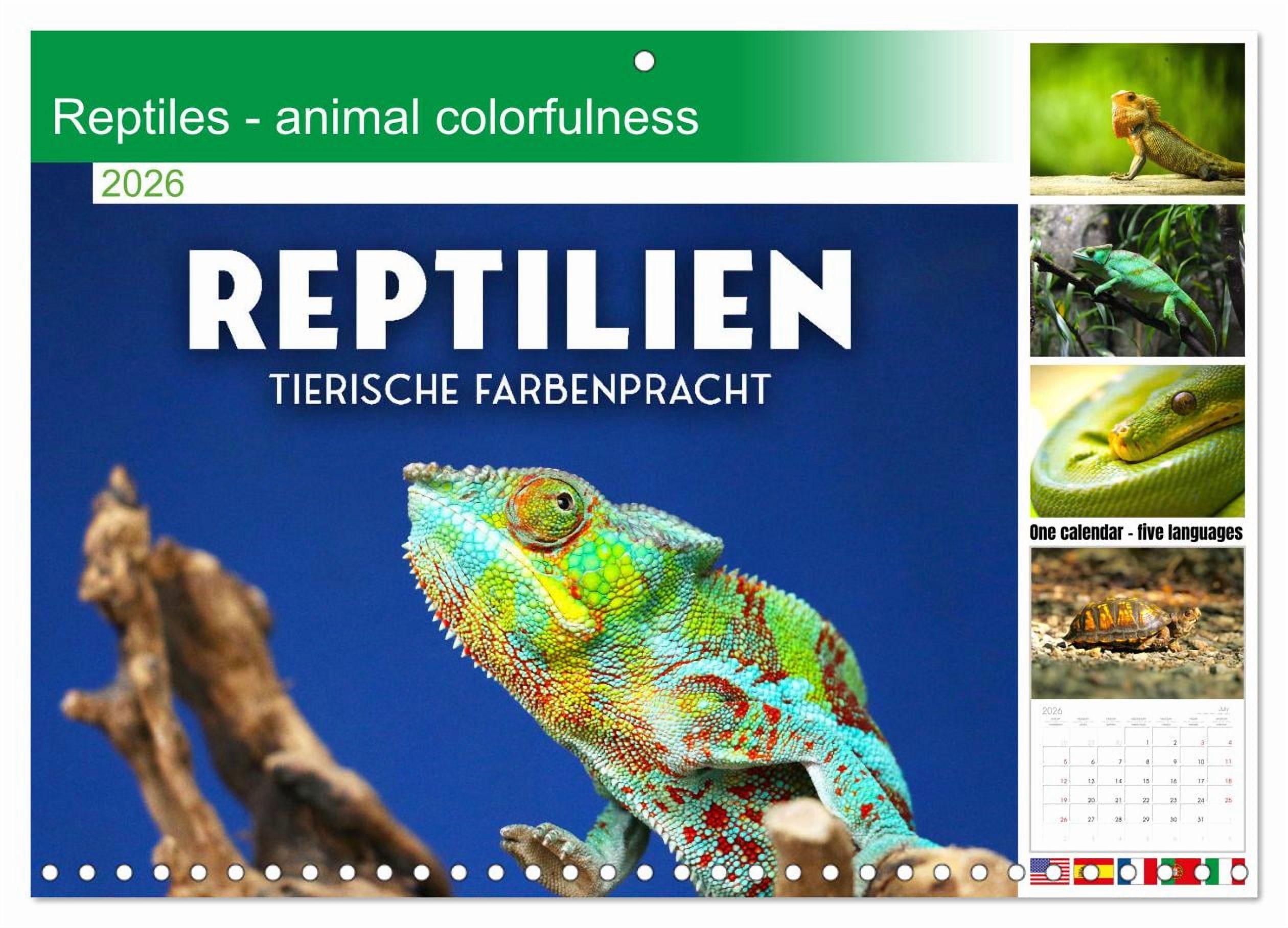 Reptiles - animal colorfulness (Monthly Wall Calendar 2026 11.7 x 16.5 ...