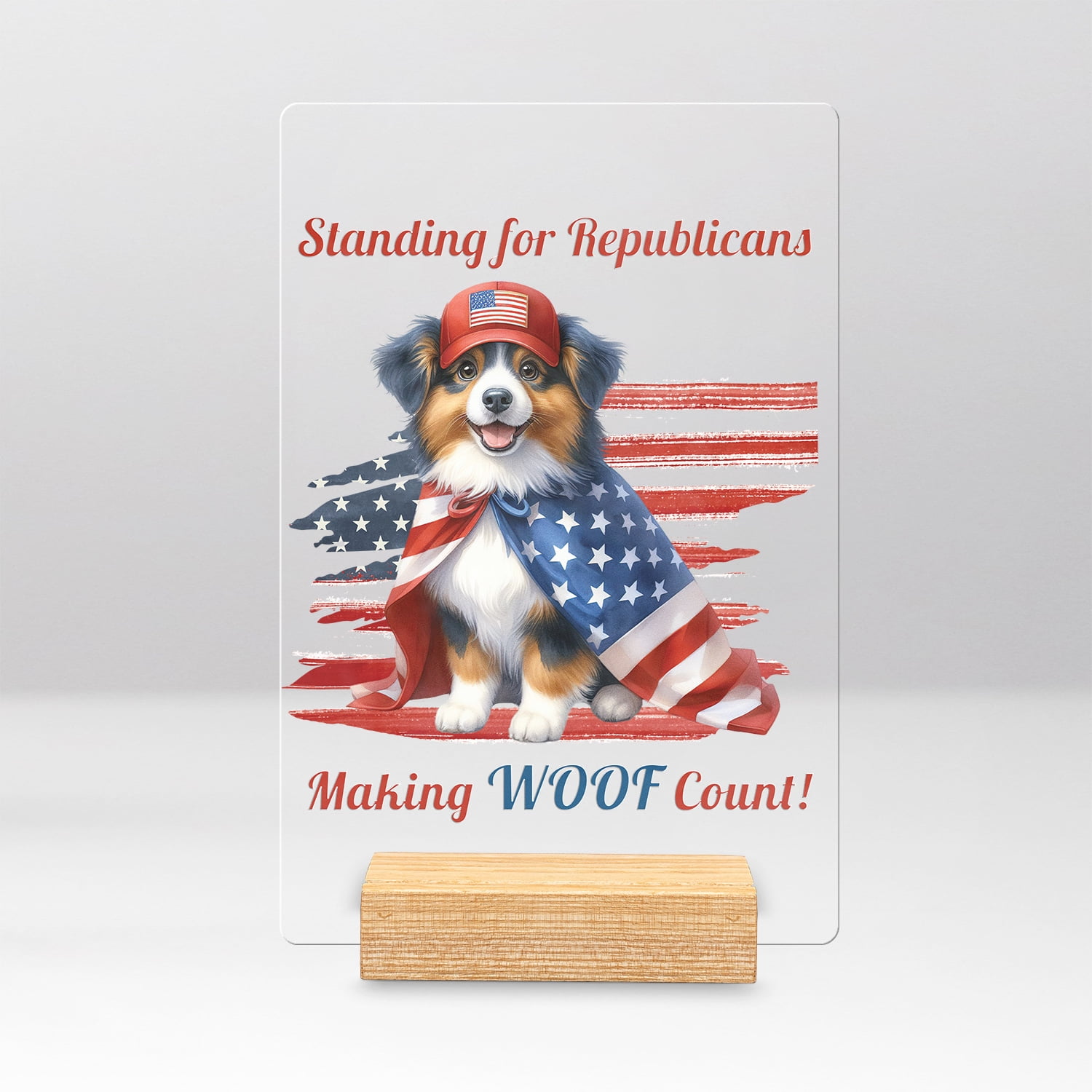 Republican Miniature American Shepherd Making Woof Count Election 2024 ...