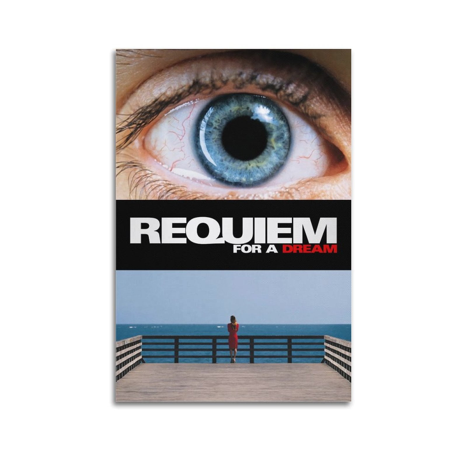 Requiem for A Dream Poster Wall Art Canvas Aesthetic Music And Movies Decorative Living Room Bed ...
