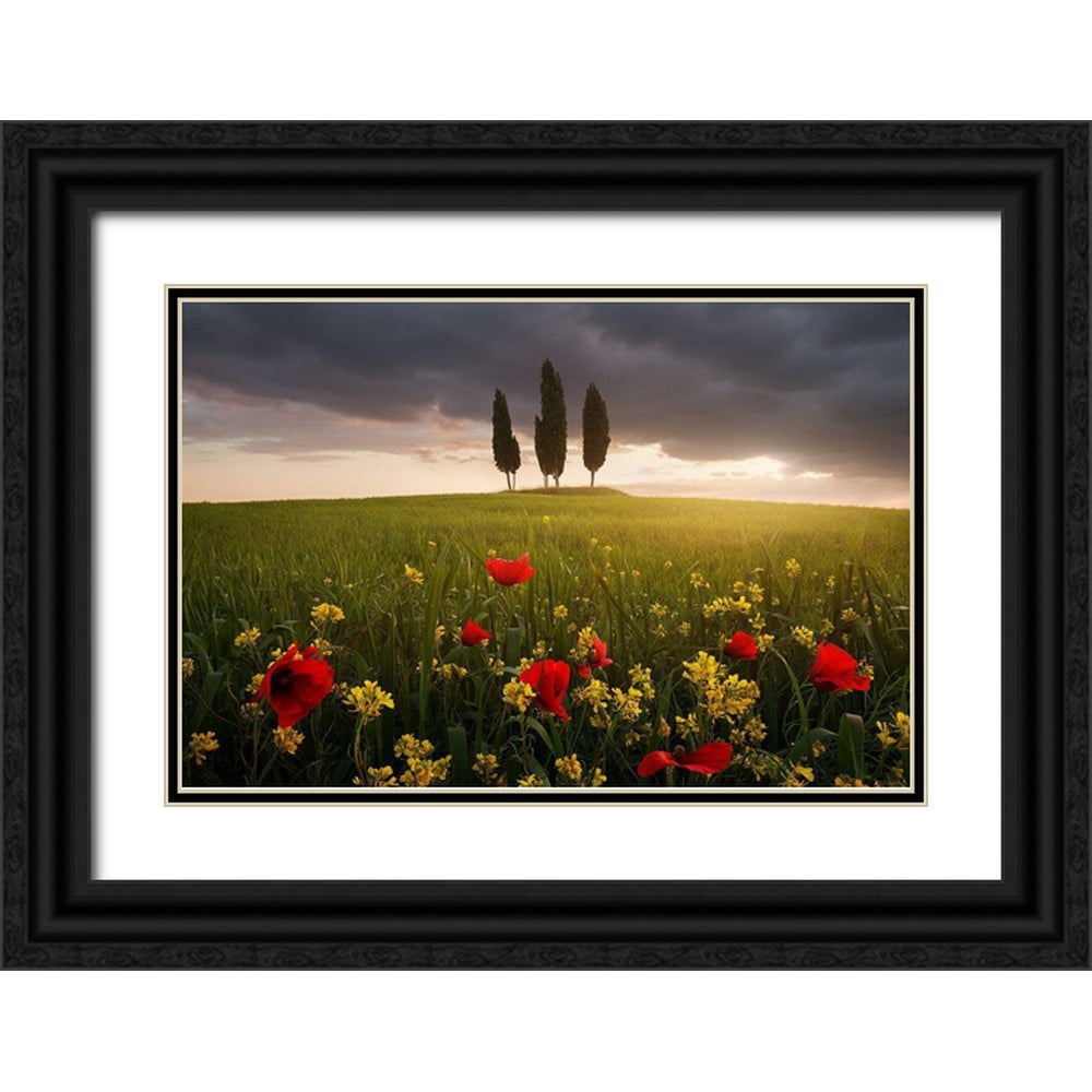 Rericha, Daniel 14x11 Black Ornate Wood Framed with Double Matting ...