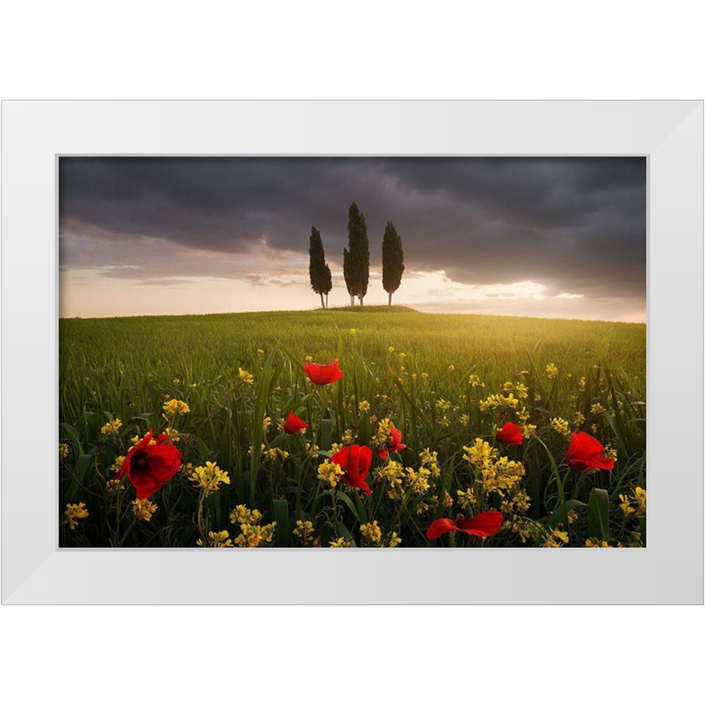 Rericha, Daniel 14x11 White Modern Wood Framed Museum Art Print Titled ...