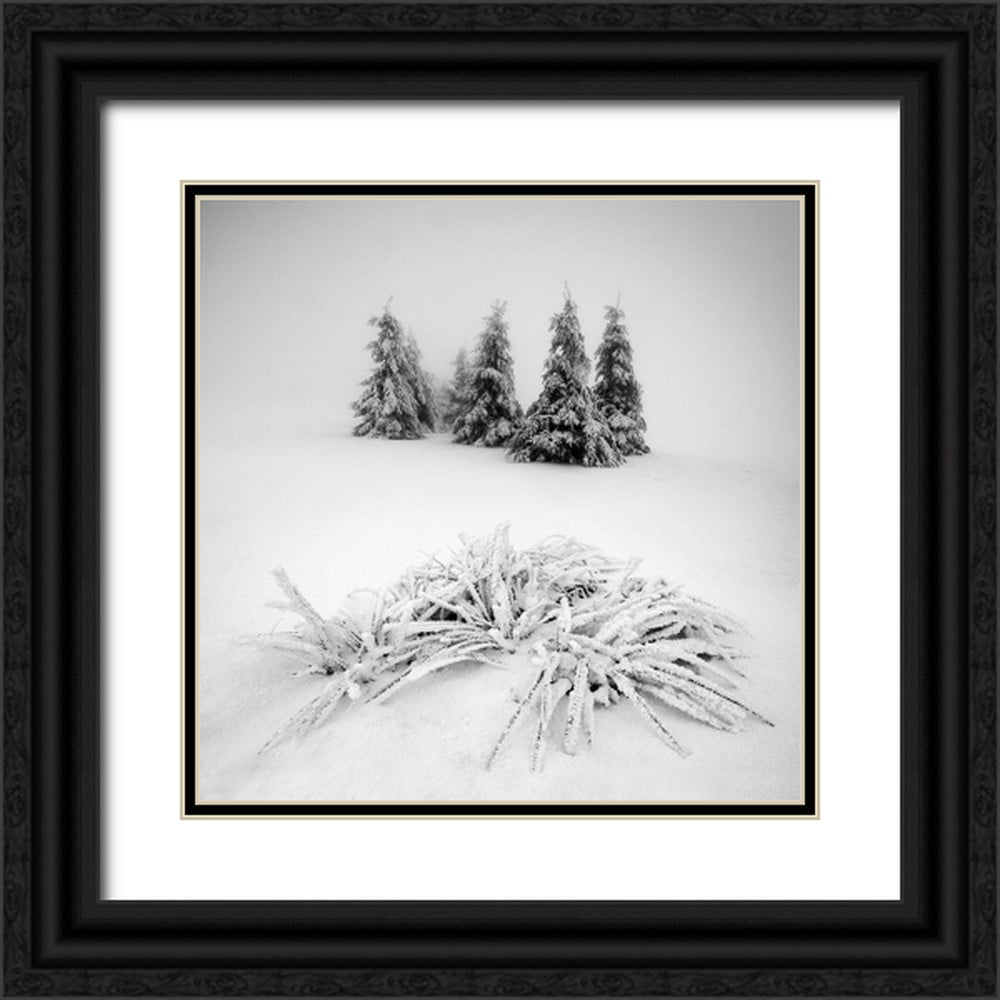 Rericha, Daniel 15x15 Black Ornate Wood Framed with Double Matting ...