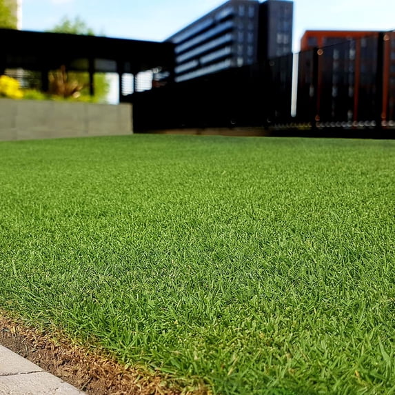 Outsidepride 2 lb Warm Season Seashore Paspalum Salt Tolerant Lawn ...