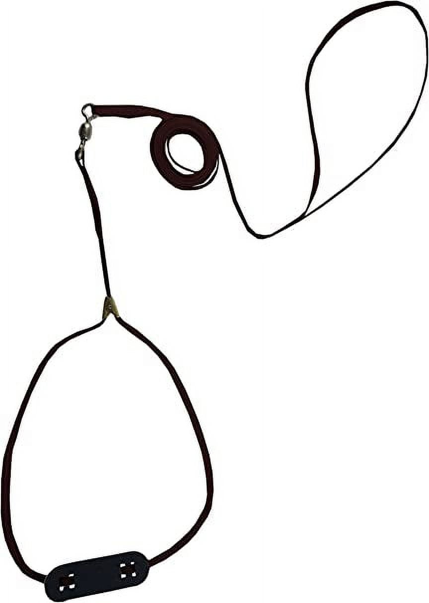 Resco Professional Cordo-Hyde Spinner Show Dog Lead with Built in ...