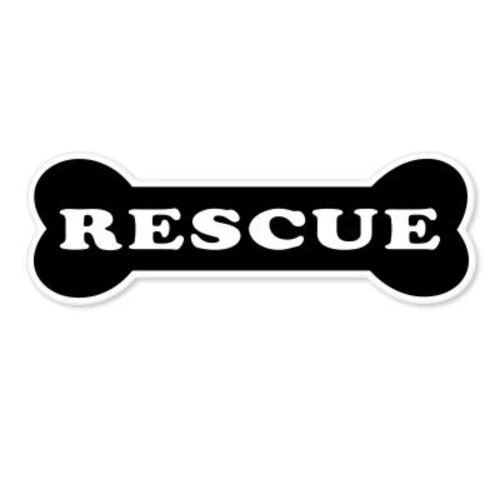Rescue Adopt Dog Bone Car Sticker Phone Decal Water Bottle Stickers Car ...
