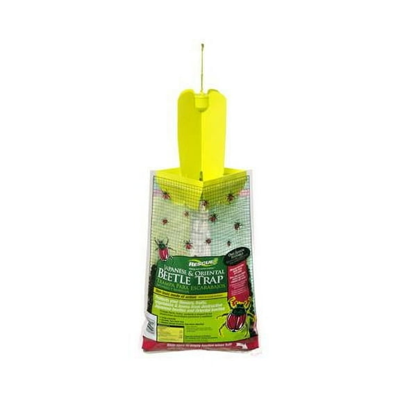 Japanese Beetle Trap