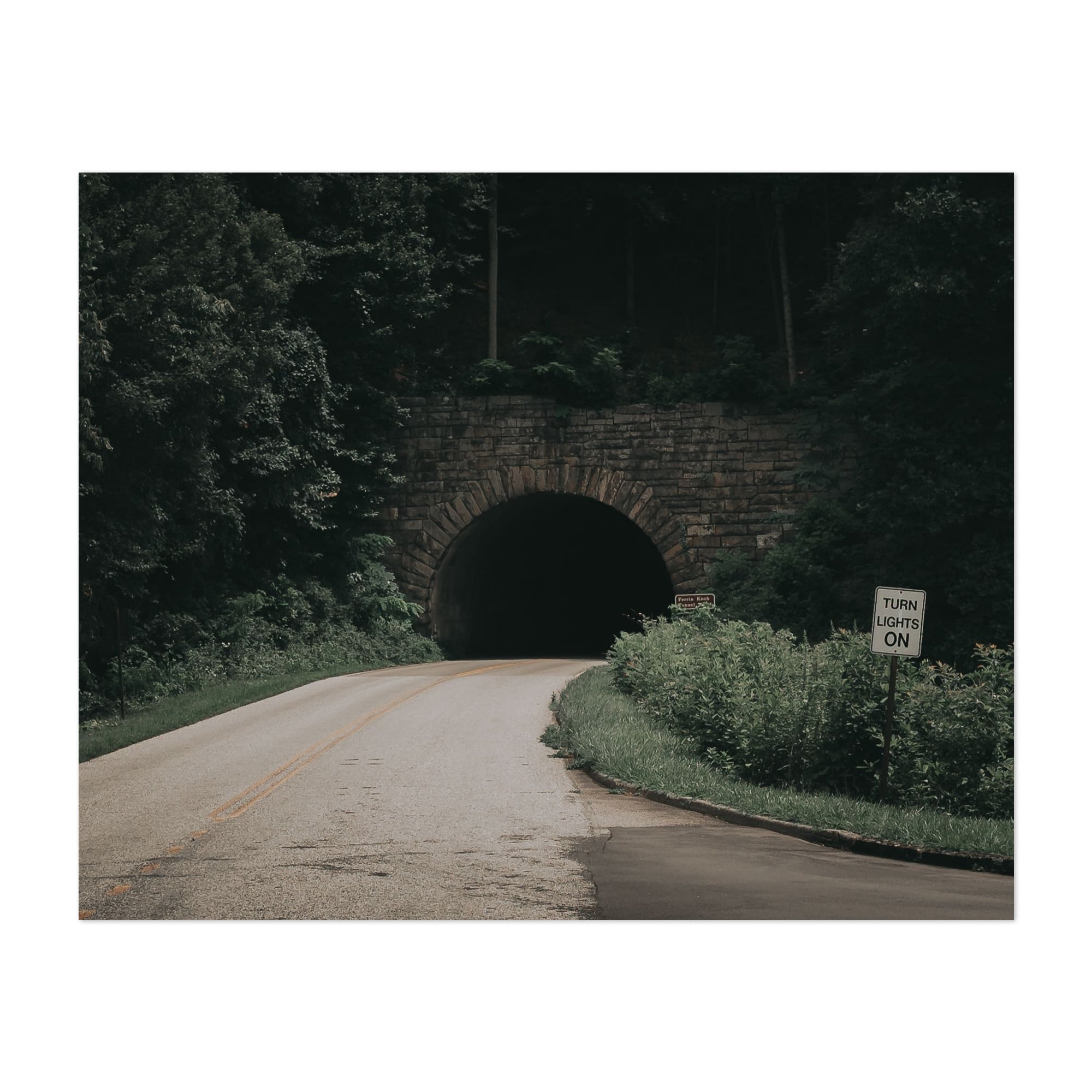 Rescue Me With Your Smile - Asheville North Carolina Photography Forest ...