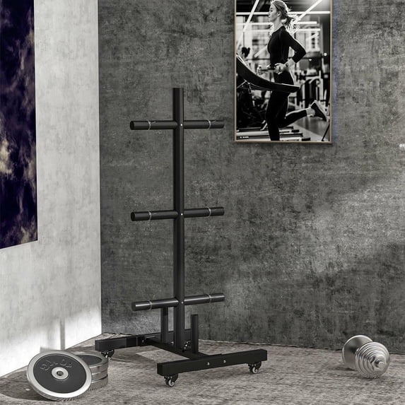 Resenkos 2-inch Olympic Weight Plate Tree with Bar Holders, 660 lb ...