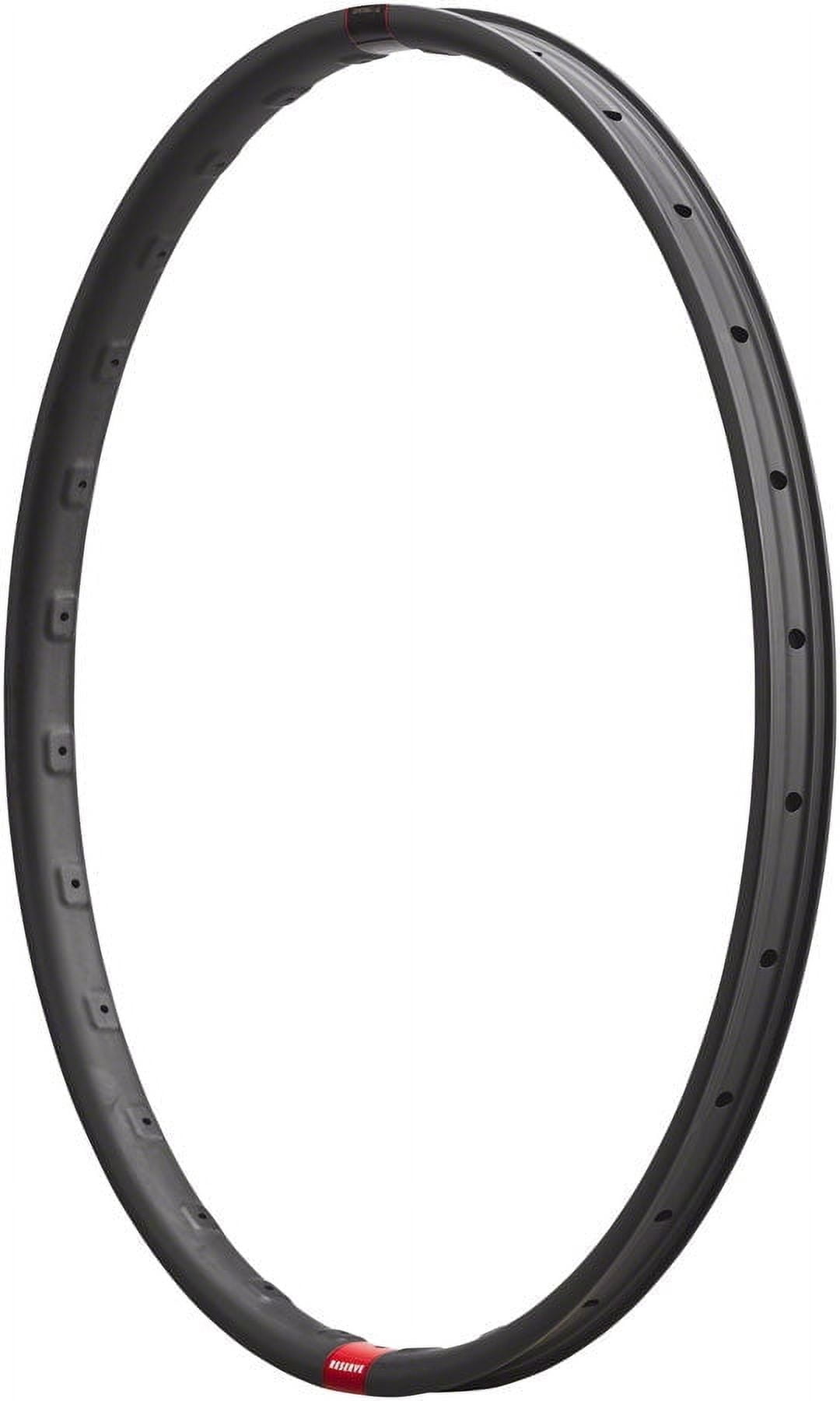 Reserve Wheels Reserve 31 DH Rim - 29" Disc Carbon 32H - Walmart.com