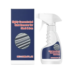 American Hydro Systems 2662 Rid O' Rust Liquid Rust Stain Remover, 2 ...