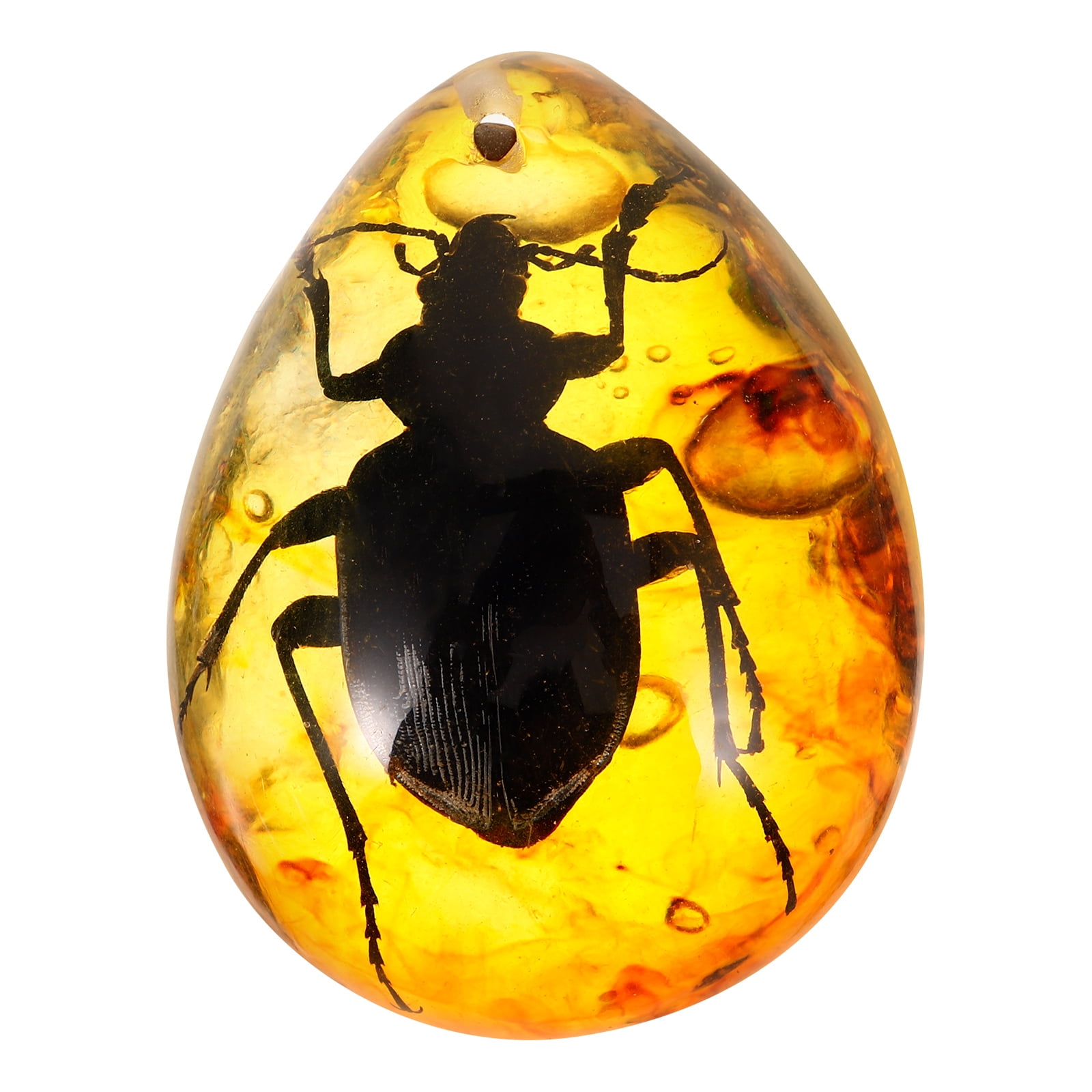Resin Amber Beetle Specimen Amber Resin Amber Craft Decorative Amber ...