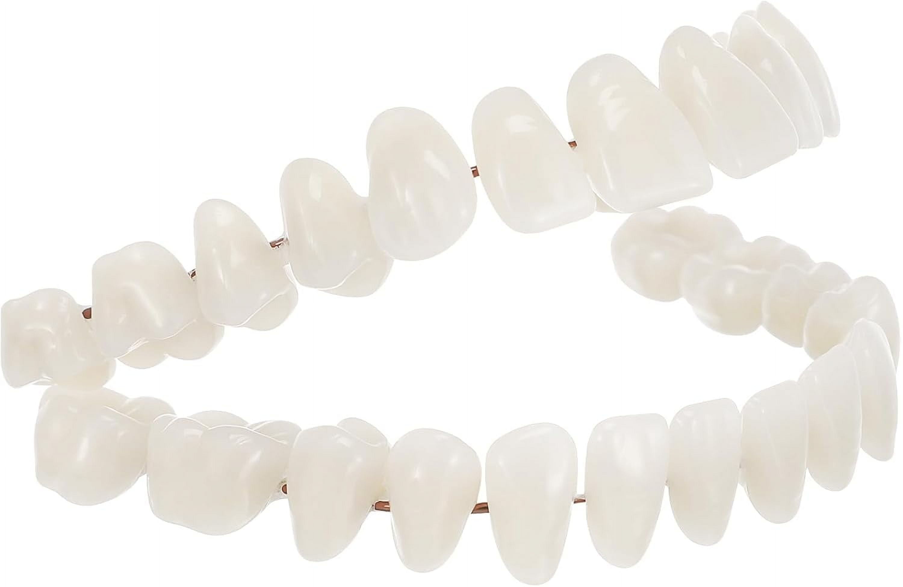 Resin Denture False Teeth - Dental Teeth Teaching Model Universal Resin ...