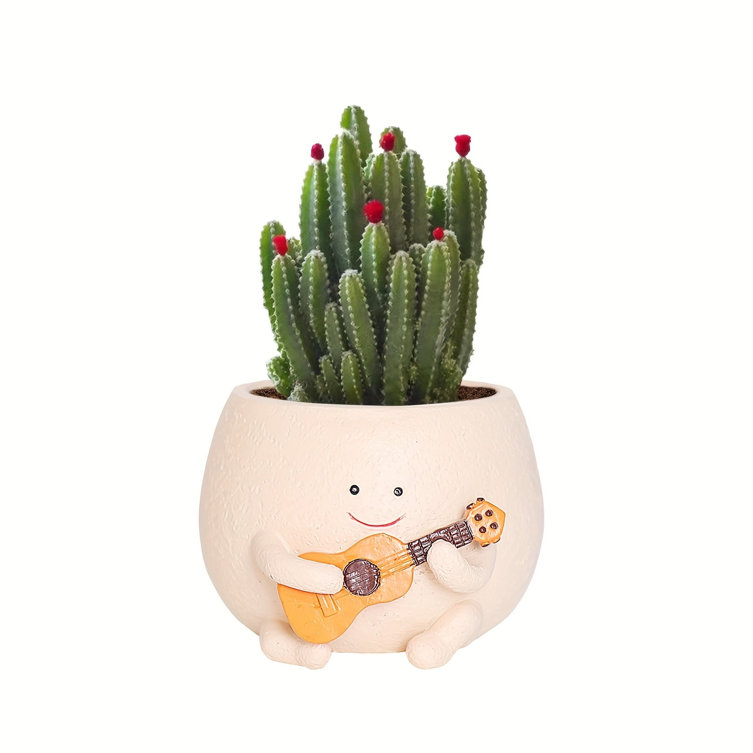 Resin Guitar-Shaped Succulent Plant Pots, Unique Irregular Design with ...