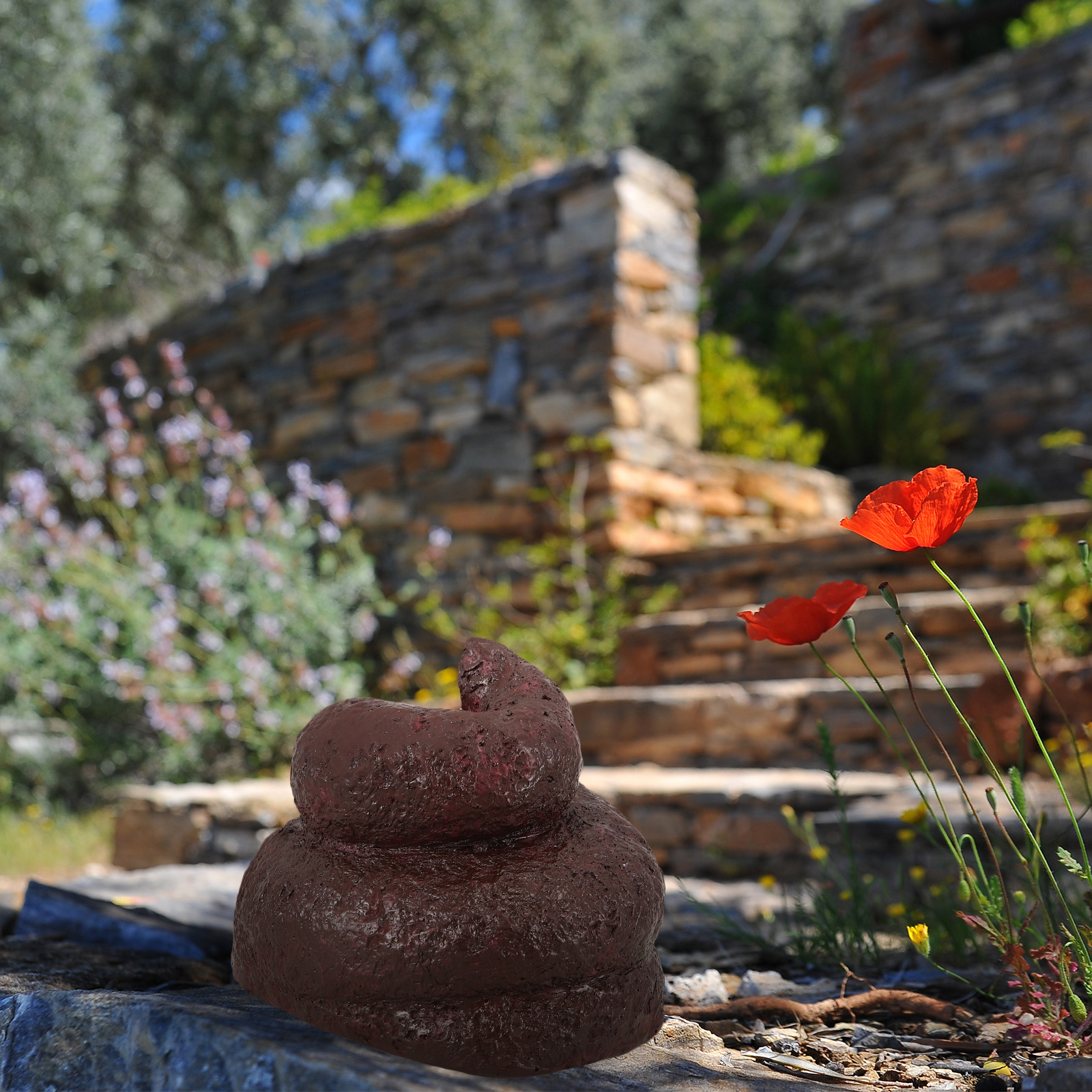 HEANUJJ Resin Coffee Fake Poop Key Holder Outdoor Garden Key Storage ...