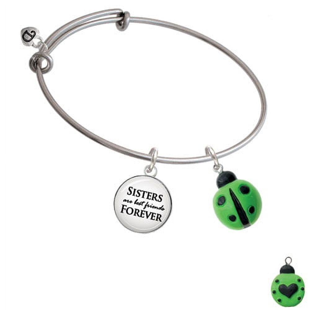 Resin Lime Green Ladybug Love Bug Sisters are Best Friends Bangle ...