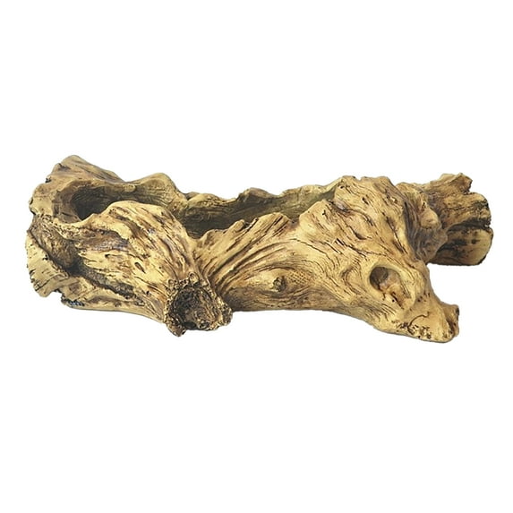 Resin Planter Featuring Tree Root Designs Suitable for Stylish ...
