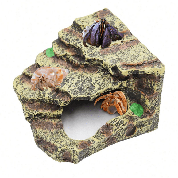 Spider Stone