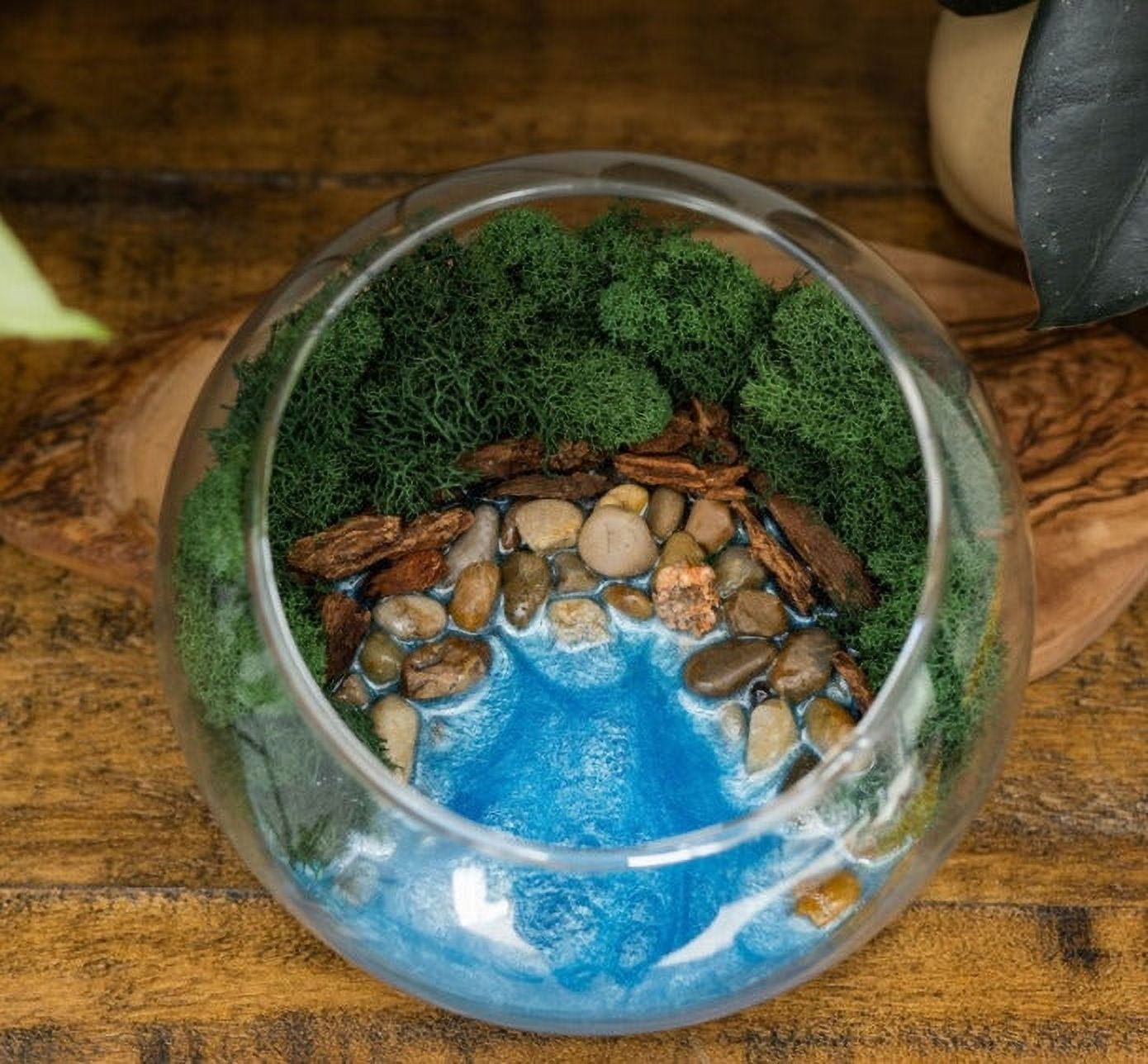 Resin Terrarium Kit - Walmart.com