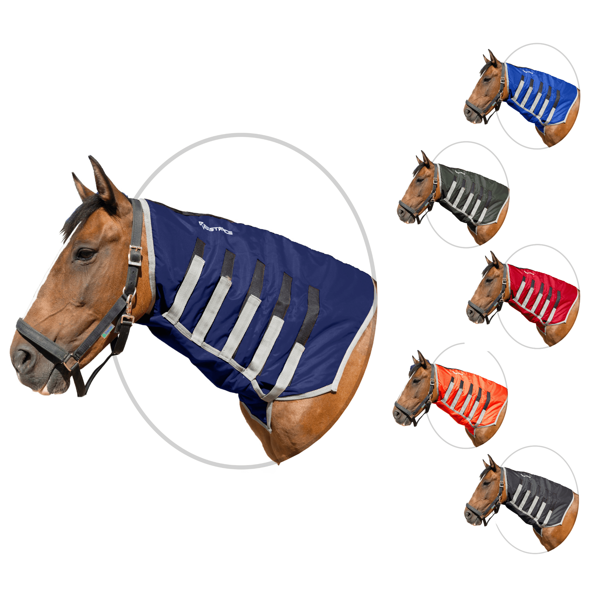 Resistance Lightweight Breathable Horse Sleazy Slickers Horse Care ...