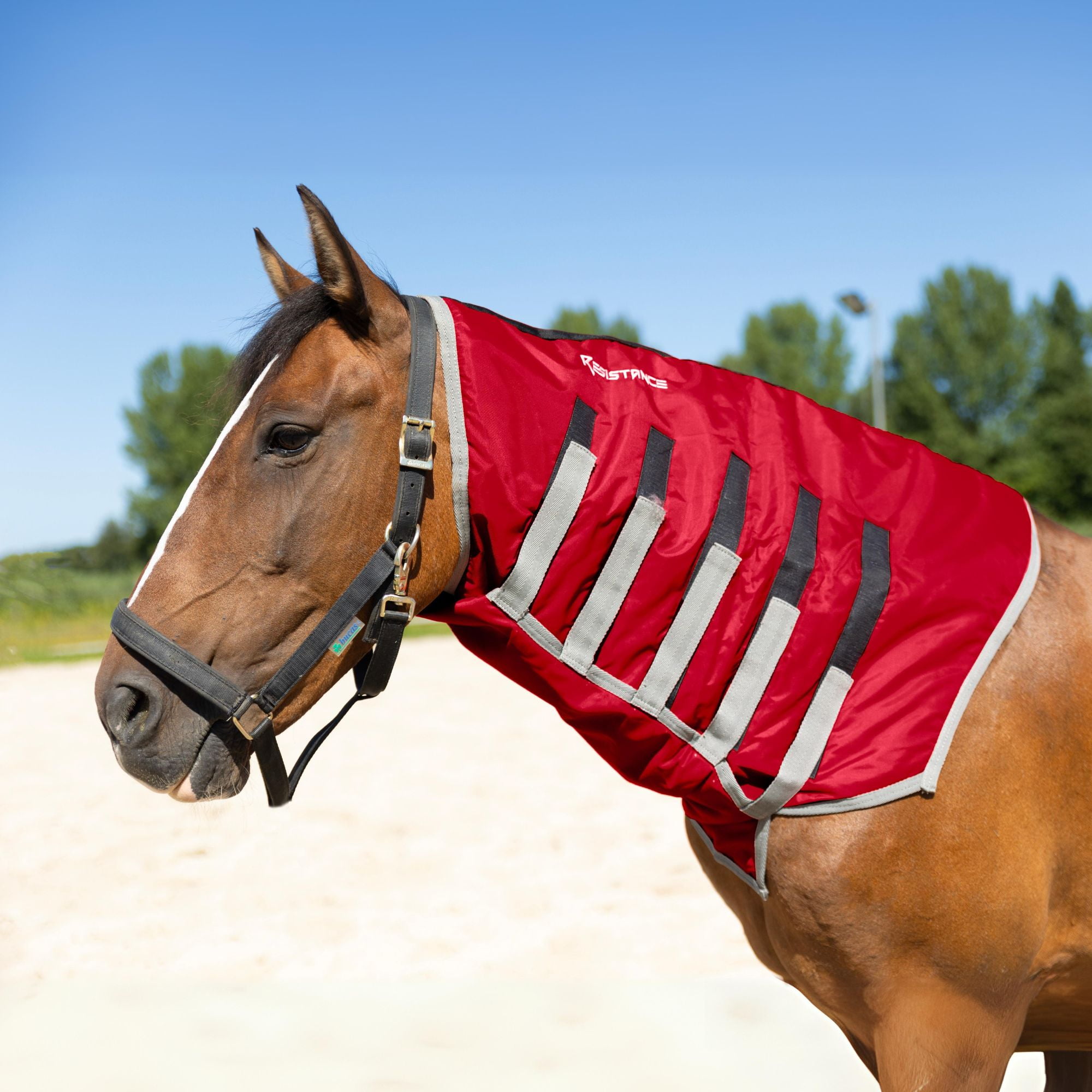 RESISTANCE Neck Cover Lightweight Breathable Horse Sleazy Slicker ...