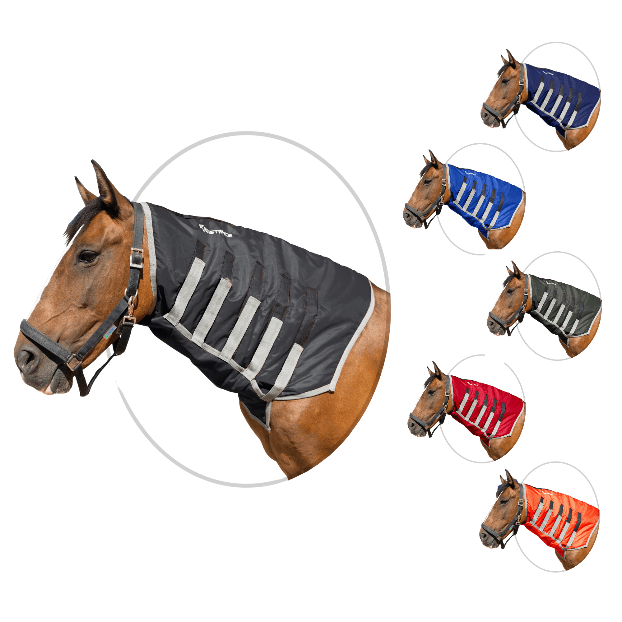 Resistance Lightweight Breathable Horse Sleazy Slickers Horse Care ...