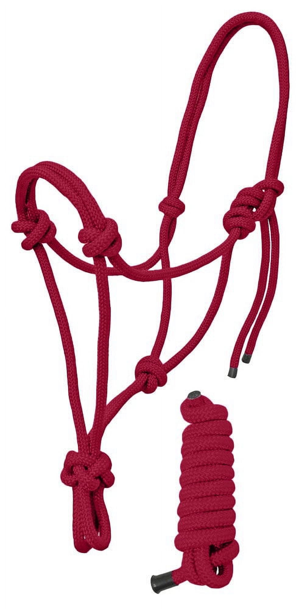 Resistance Plain Nylon Adjustable Rope Halter With Matching 6Ft Lead ...