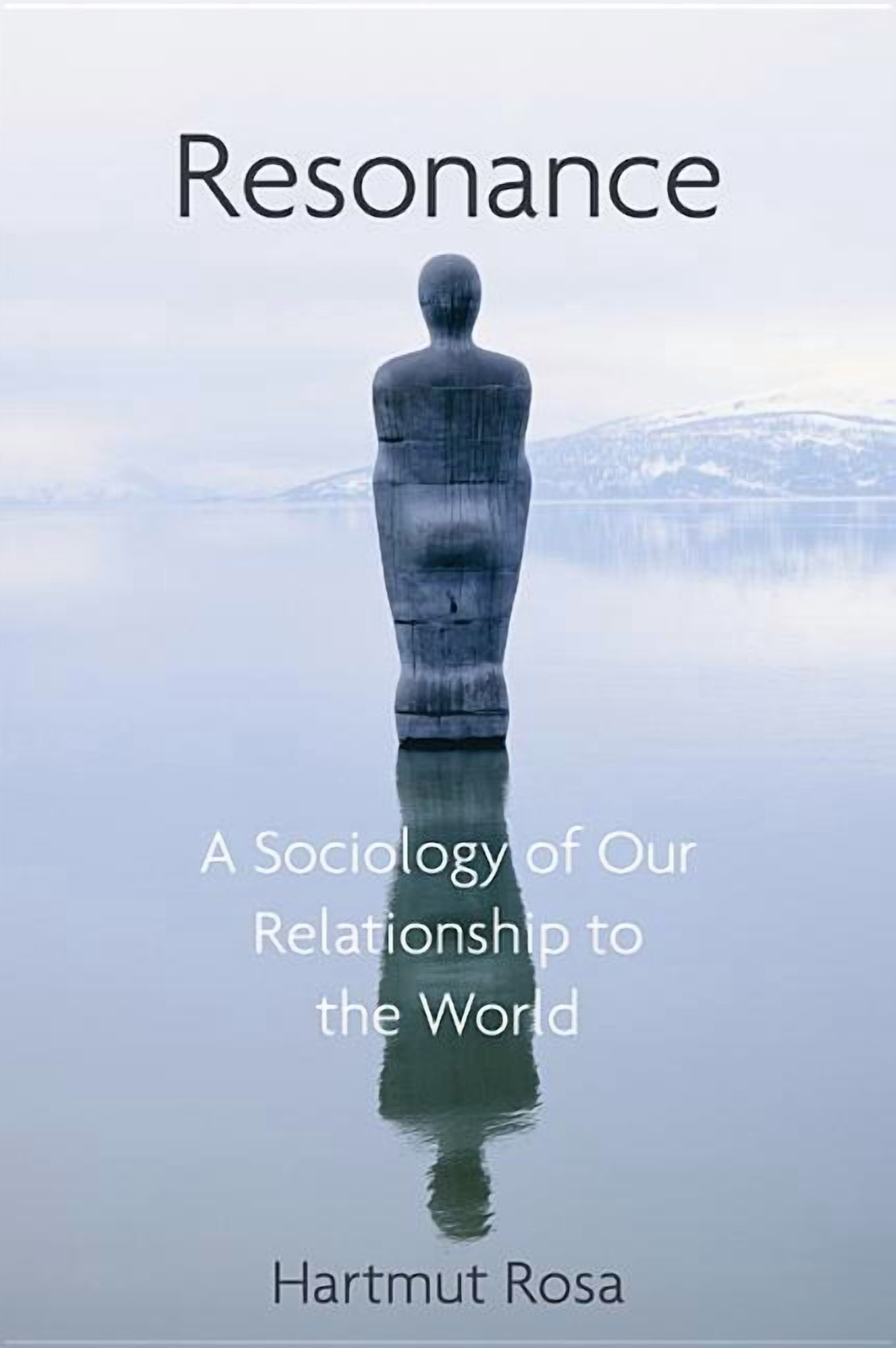 Resonance: A Sociology of Our Relationship to the World (Hardcover ...