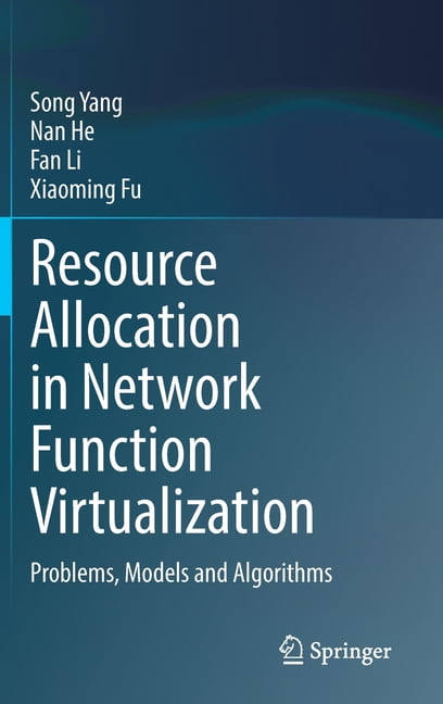 Resource Allocation in Network Function Virtualization: Problems ...