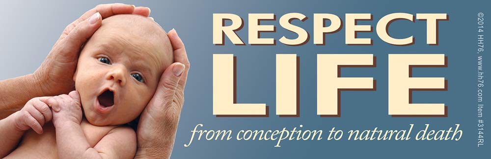 Respect Life Pro-Life Bumper Sticker - Walmart.com