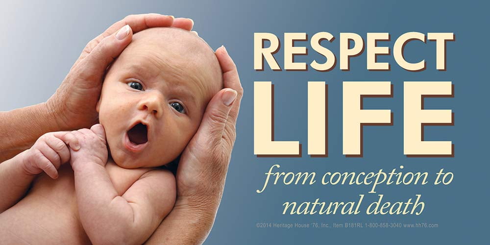 Respect Life Pro-Life Vinyl Sign - Walmart.com