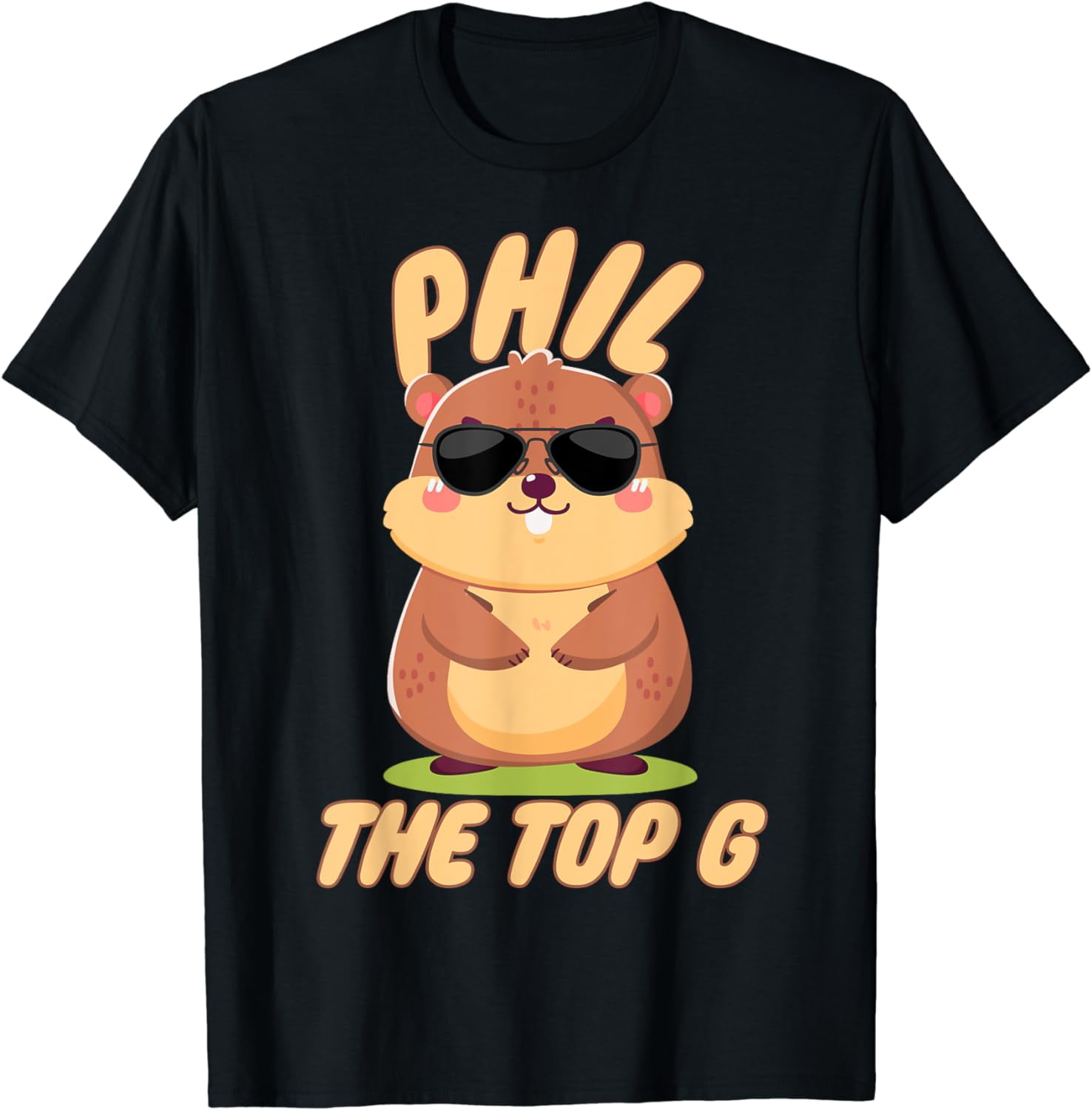 Respect The Groundhog Happy Ground-Hog Day Funny Punxsy Phil T-Shirt ...