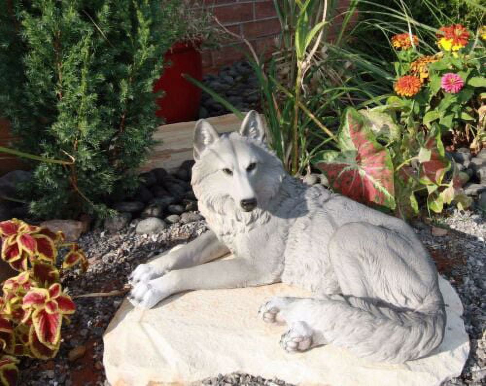 Resting Wise Gray Lone Wolf Figurine Timberwolves Pack Decorative Decor ...