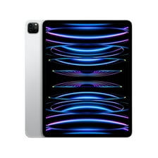 Restored Apple iPad Pro 2nd. Gen - 11" Apple A12Z Bionic 6GB RAM 256GB ...