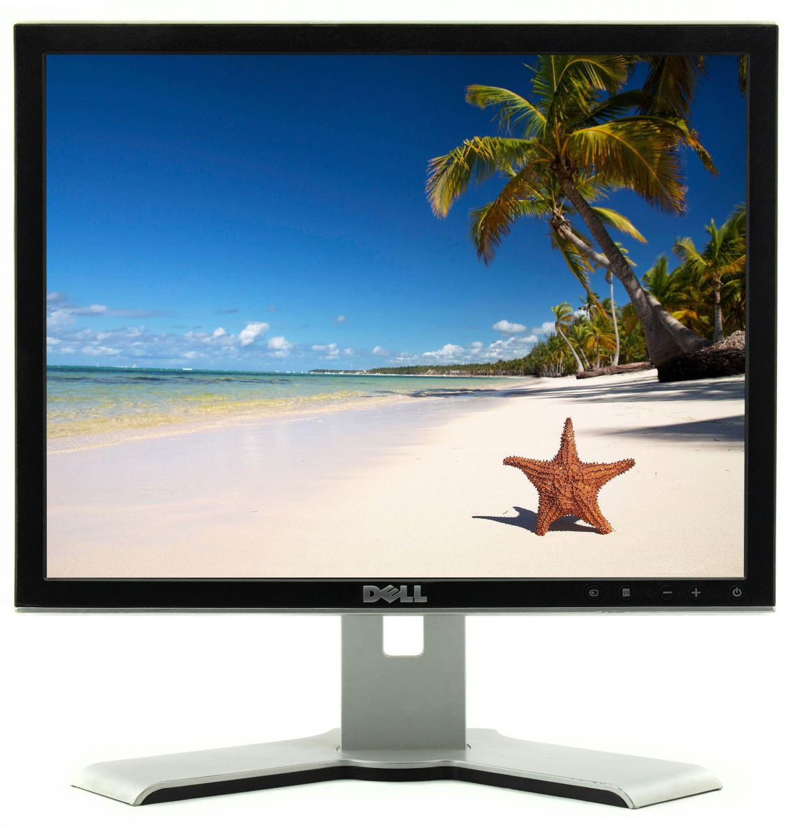 Restored Dell 17" 1708FPb DVI Rotating LCD Monitor w/USB Hub ...