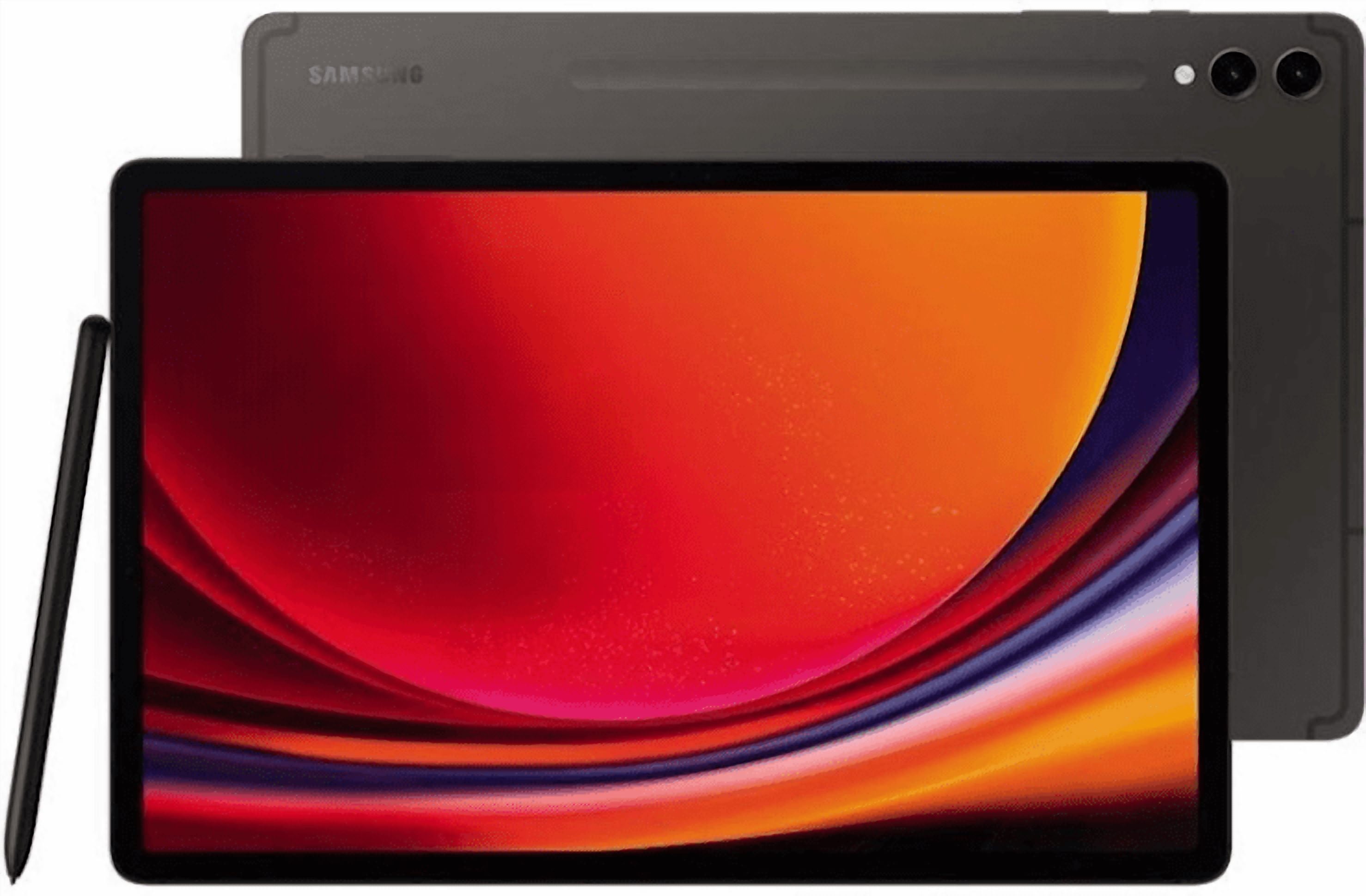 Restored SAMSUNG Galaxy Tab S9+ Plus 512GB (Gray) 12.4" Tablet ...