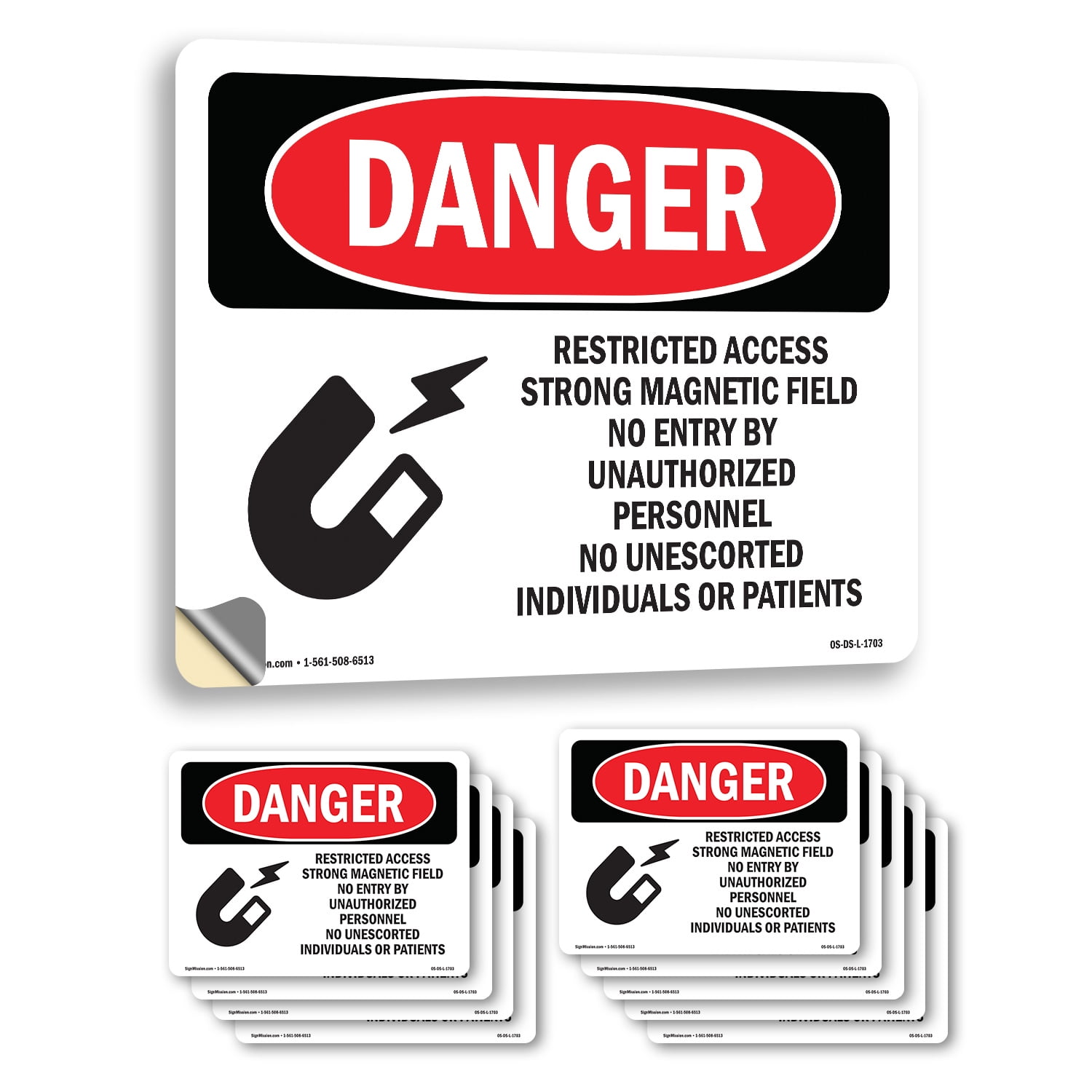 Restricted Access Strong Magnetic Field OSHA Danger Vinyl Decal Label ...