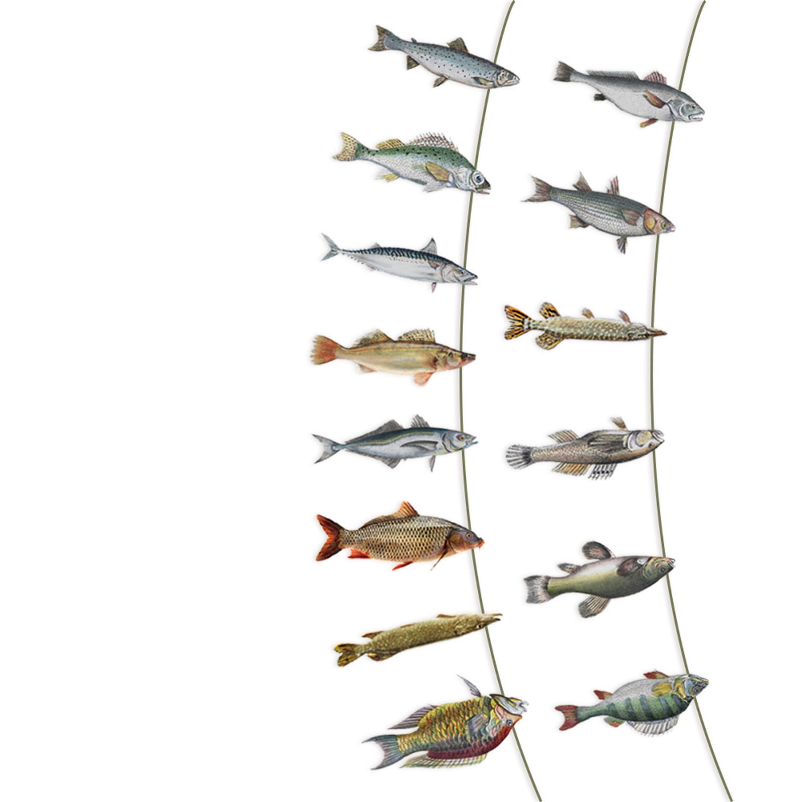 Retirement Fishing Themed Party Supplies Fish Shape Paper Decoration ...