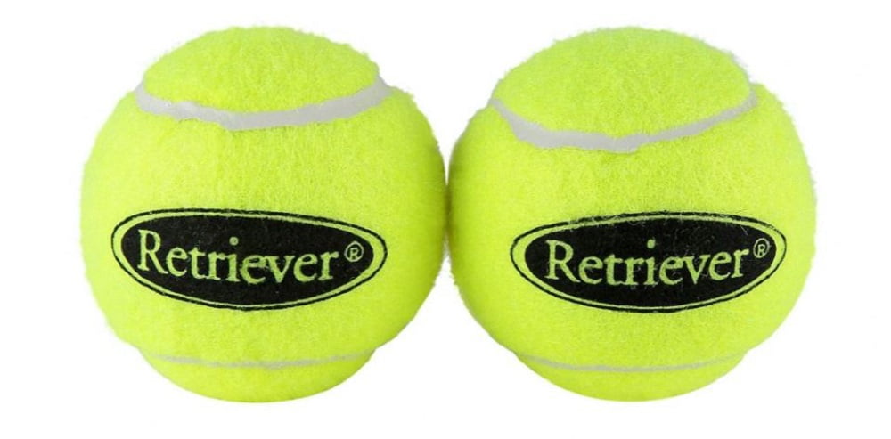 Retriever SY02502 Tennis Ball Bouncy Dog Toy - Pack of 2 - Walmart.com