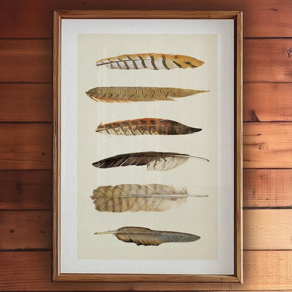 Retro Bird Feather Print Outdoors Art Quill Art Poster Outdoorsy Wall ...